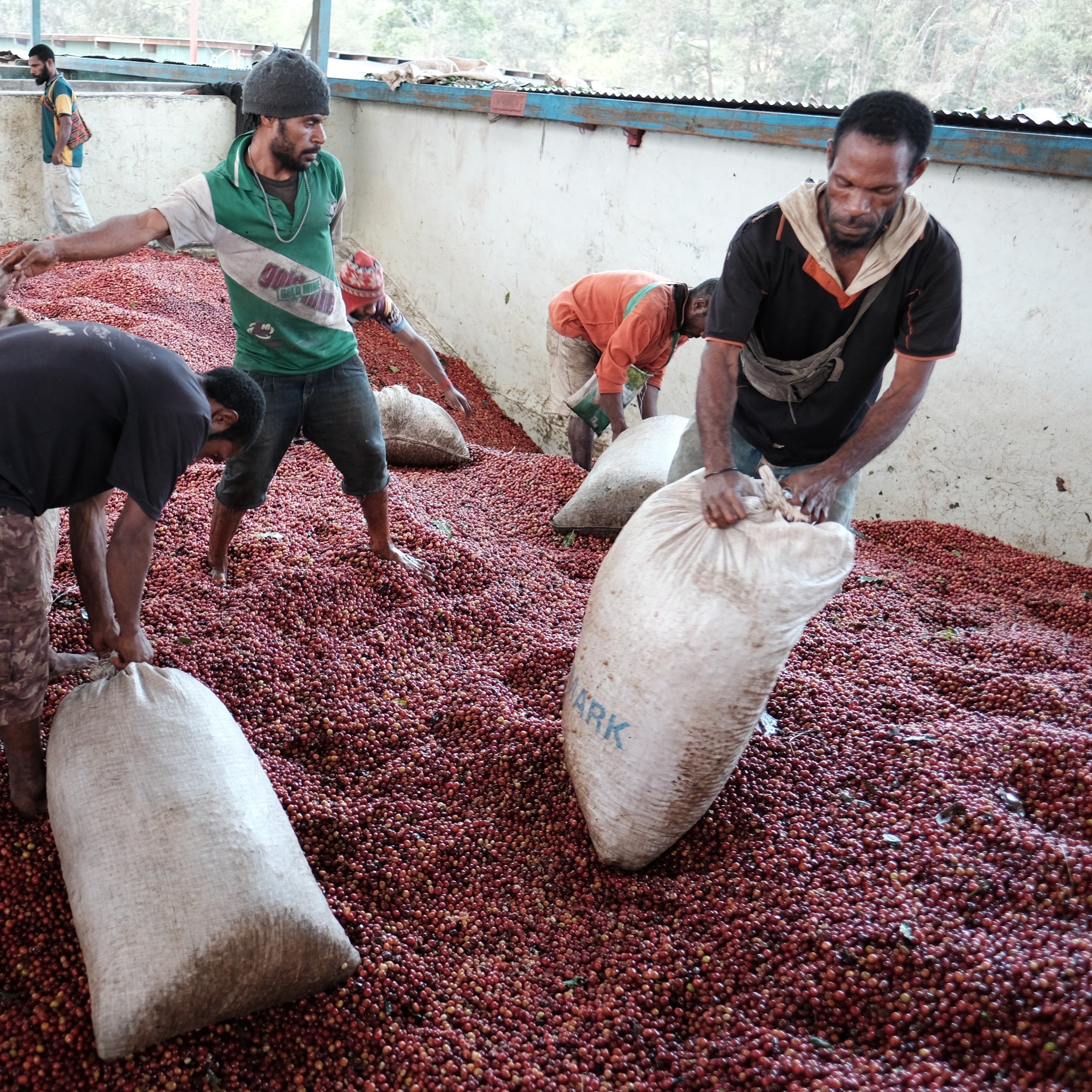 Buy Coffee & Good Things – Rocket Coffee