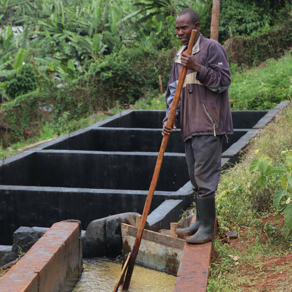 Buy Coffee & Good Things – Rocket Coffee