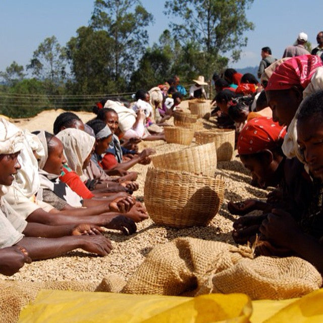 Coffee – Rocket Coffee